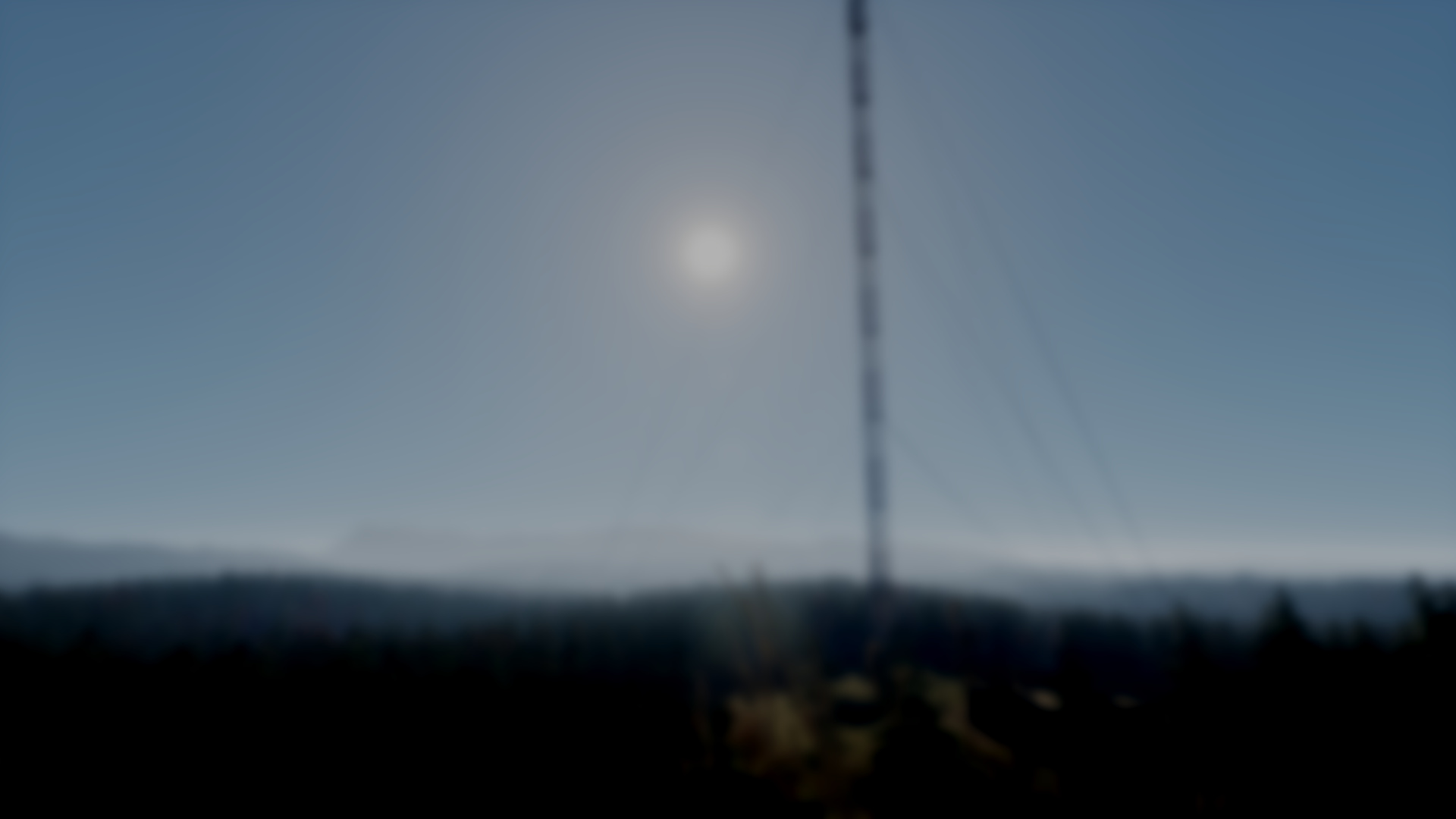 VEIN